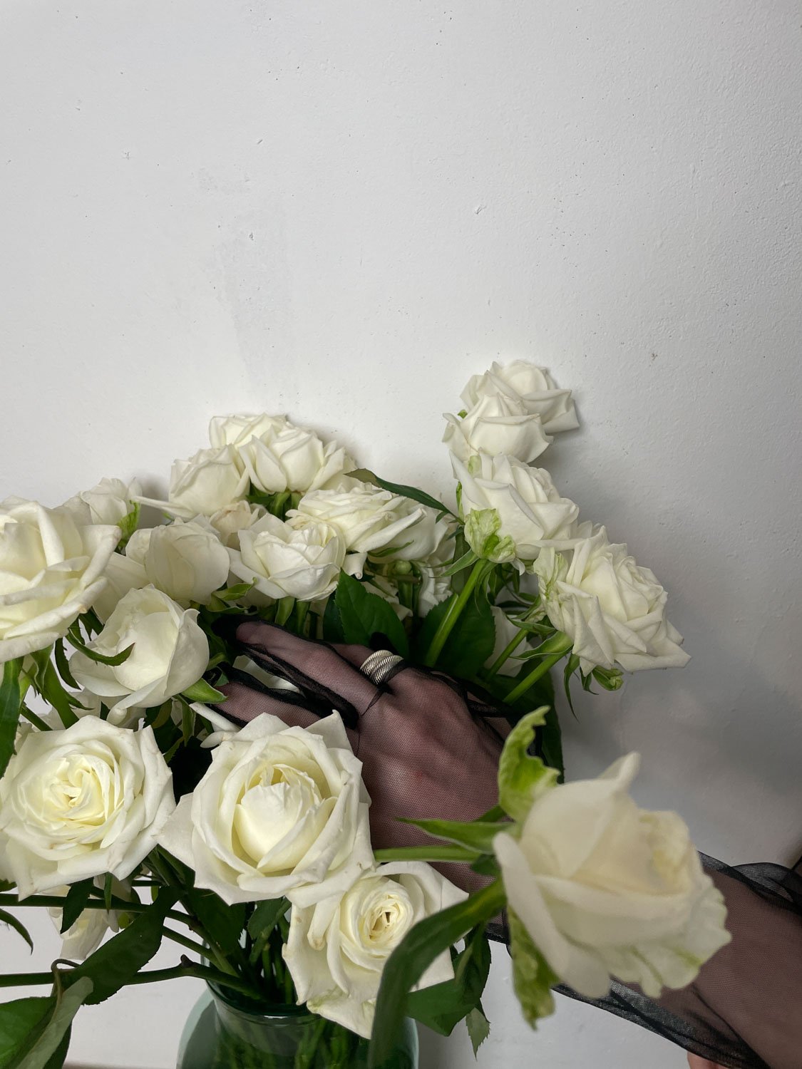 Scho Studio | PJ Ash Ring